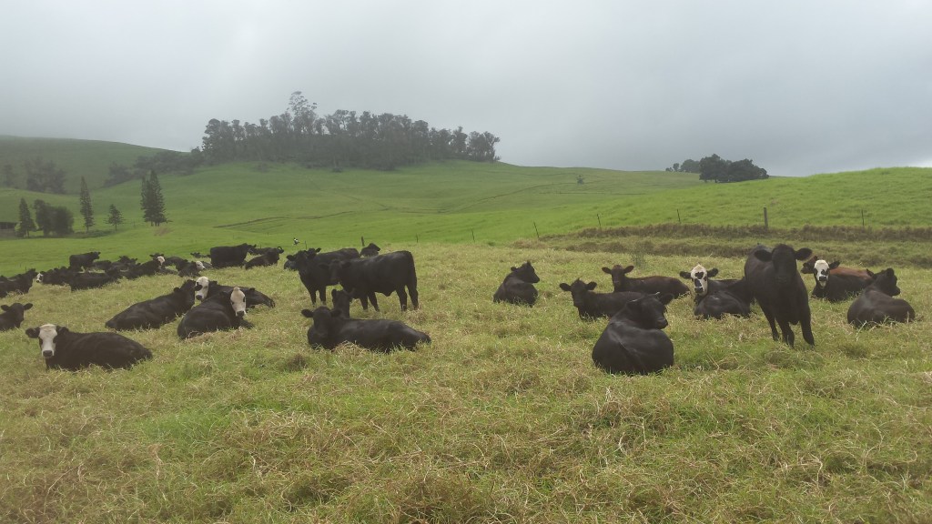 AGROECOLOGY LAB – University of California, Merced